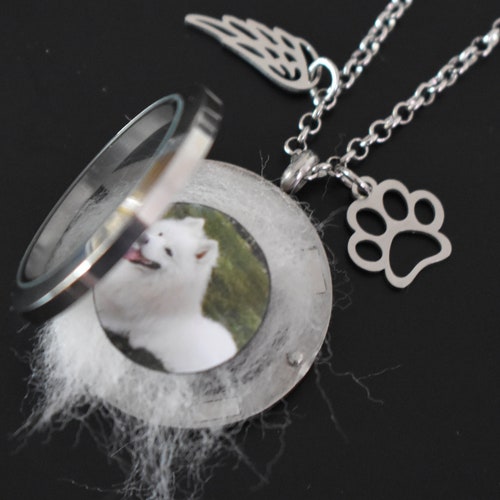 Pet Loss Memorial Locket Necklace for Pet's Hair Custom - Etsy