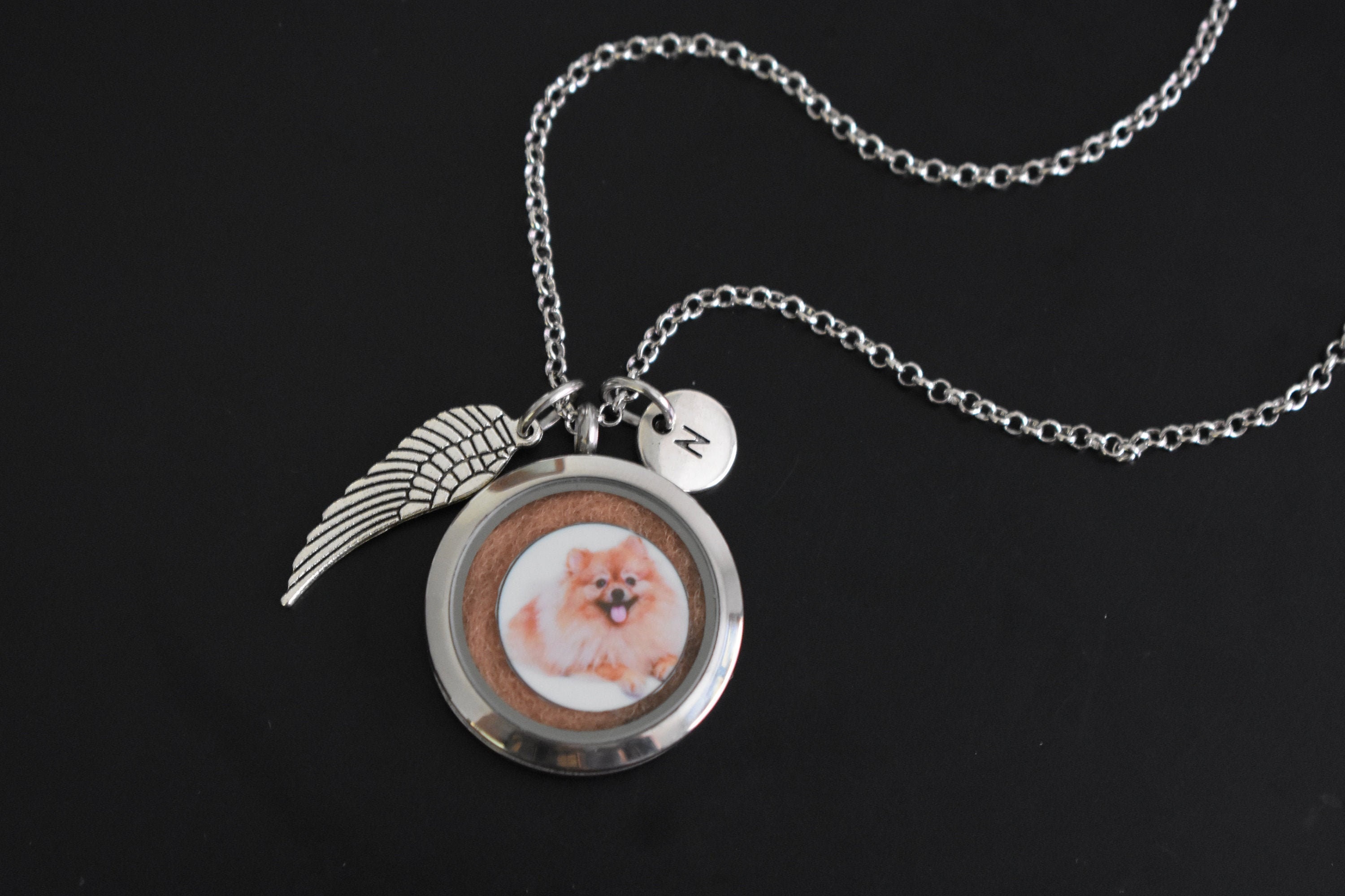 Custom Pet Loss Necklace Glass Locket Fur Pet Keepsake Lock - Etsy