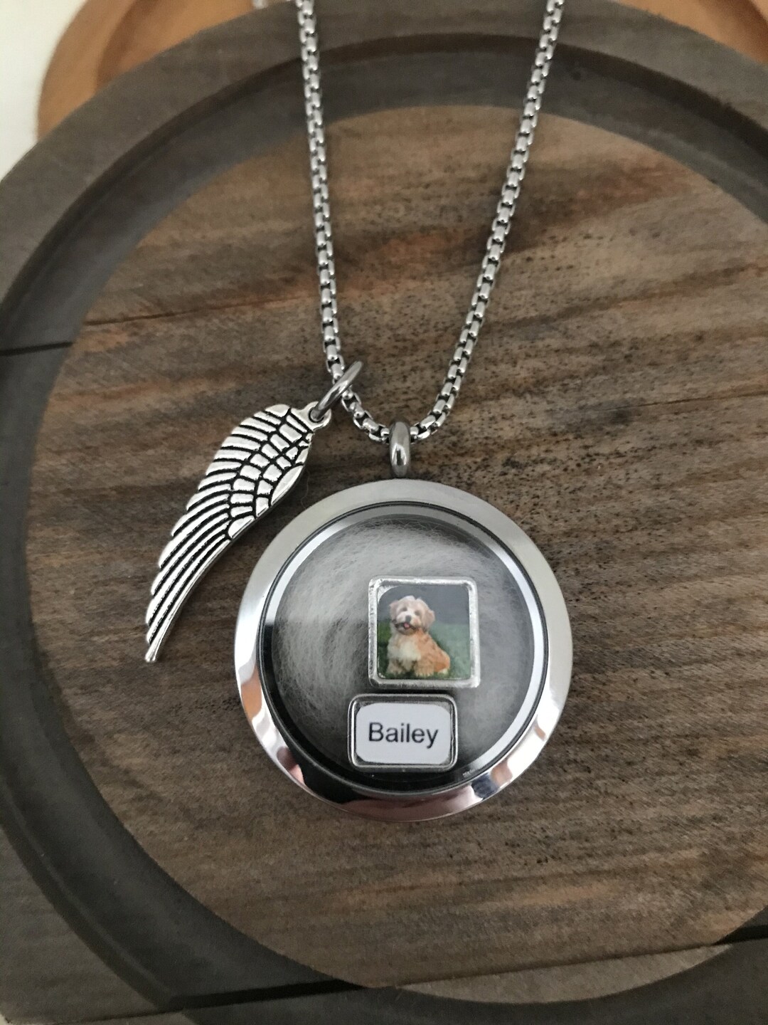 Pet Memorial Locket Necklace: Fur Keepsake, Pet Photo - Etsy