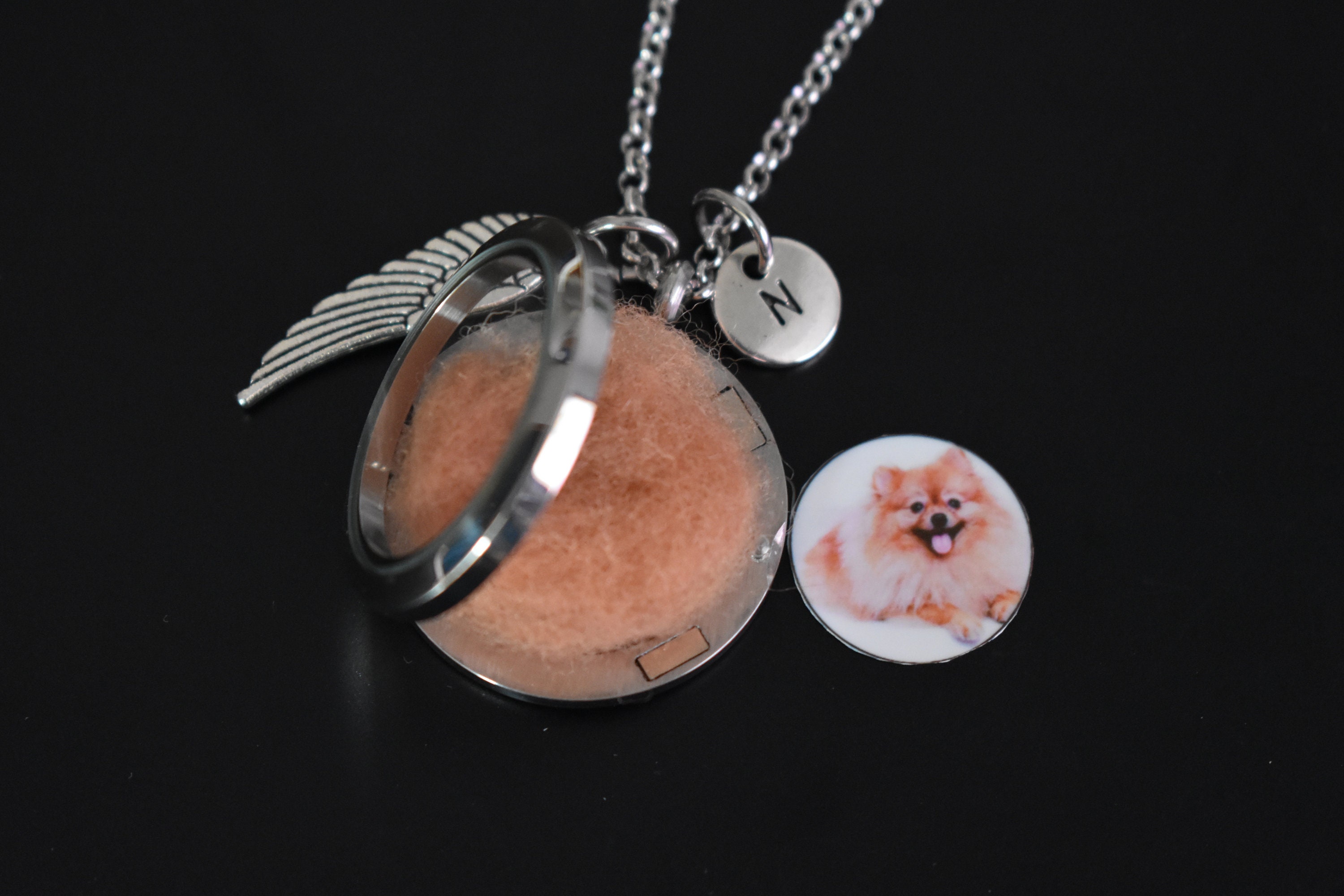 Custom Pet Loss Necklace Glass Locket Fur Pet Keepsake Lock - Etsy