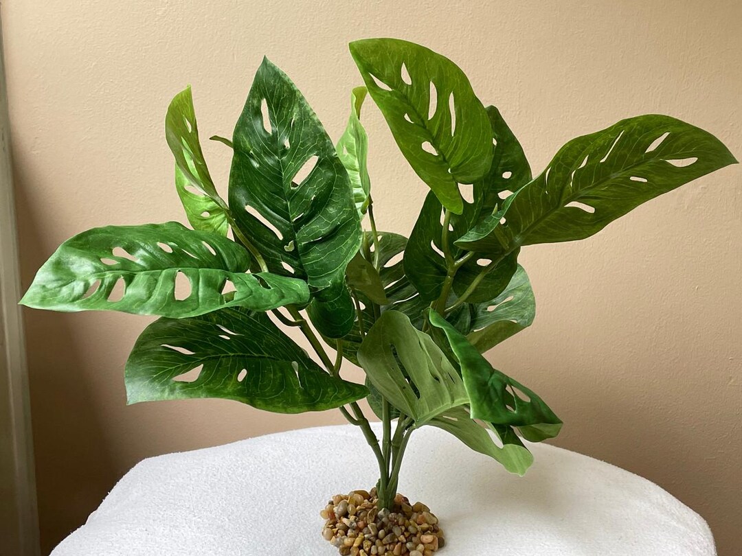 12"x12" Split Leaf PHILO BUSH Silk Philodendron Aquarium PLANT, Stone ...