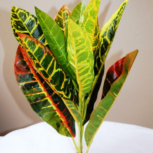 10 Tall MEDIUM Multi-colored CROTON PLANT Artificial - Etsy