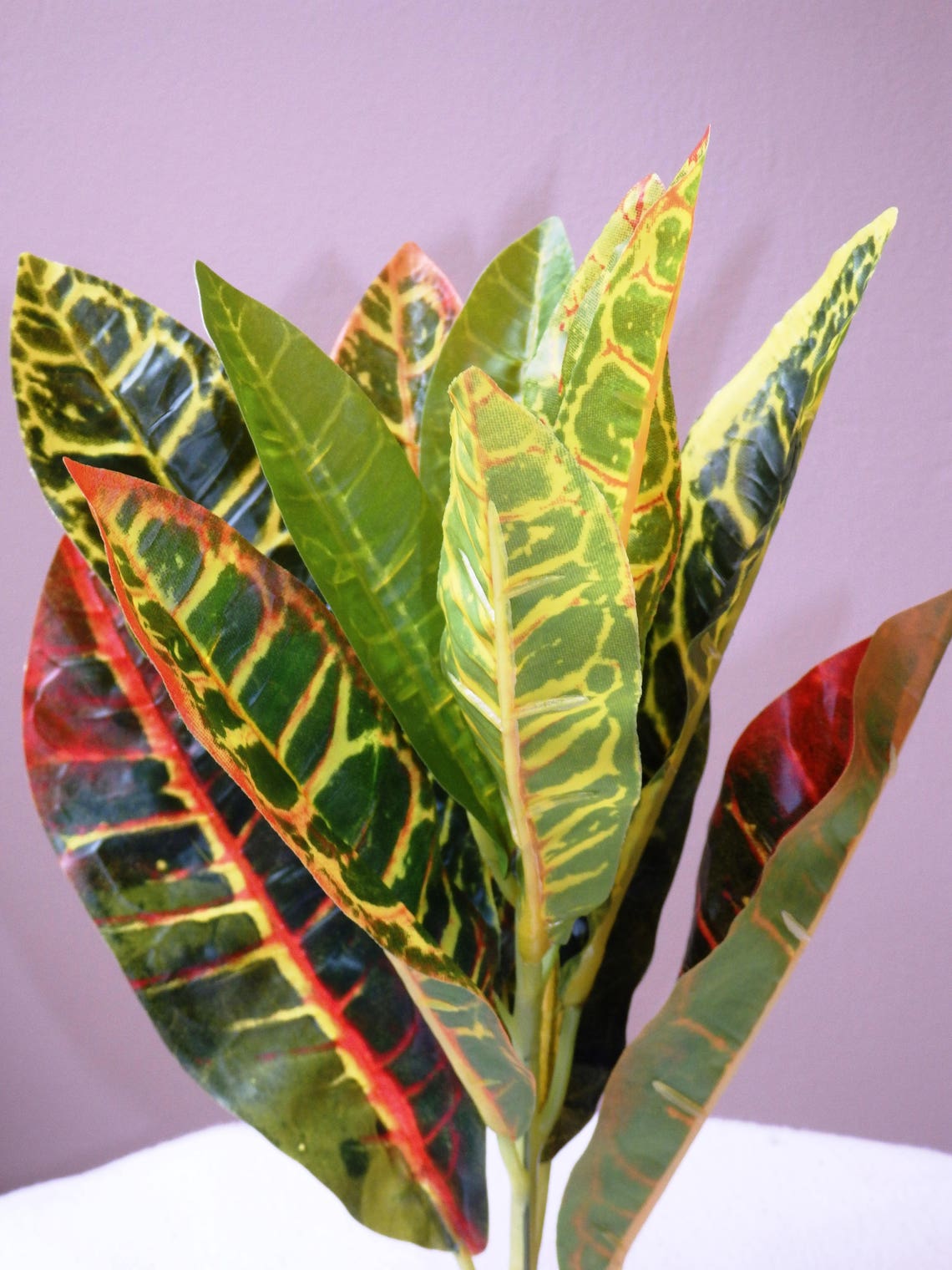 10 Tall MEDIUM Multi-colored CROTON PLANT Artificial - Etsy