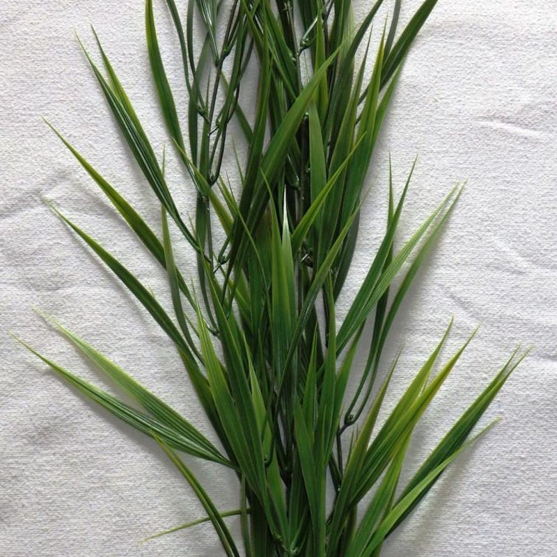 Land Was so Dry That Barely a Blade of Grass Could Grow. Water Was ...