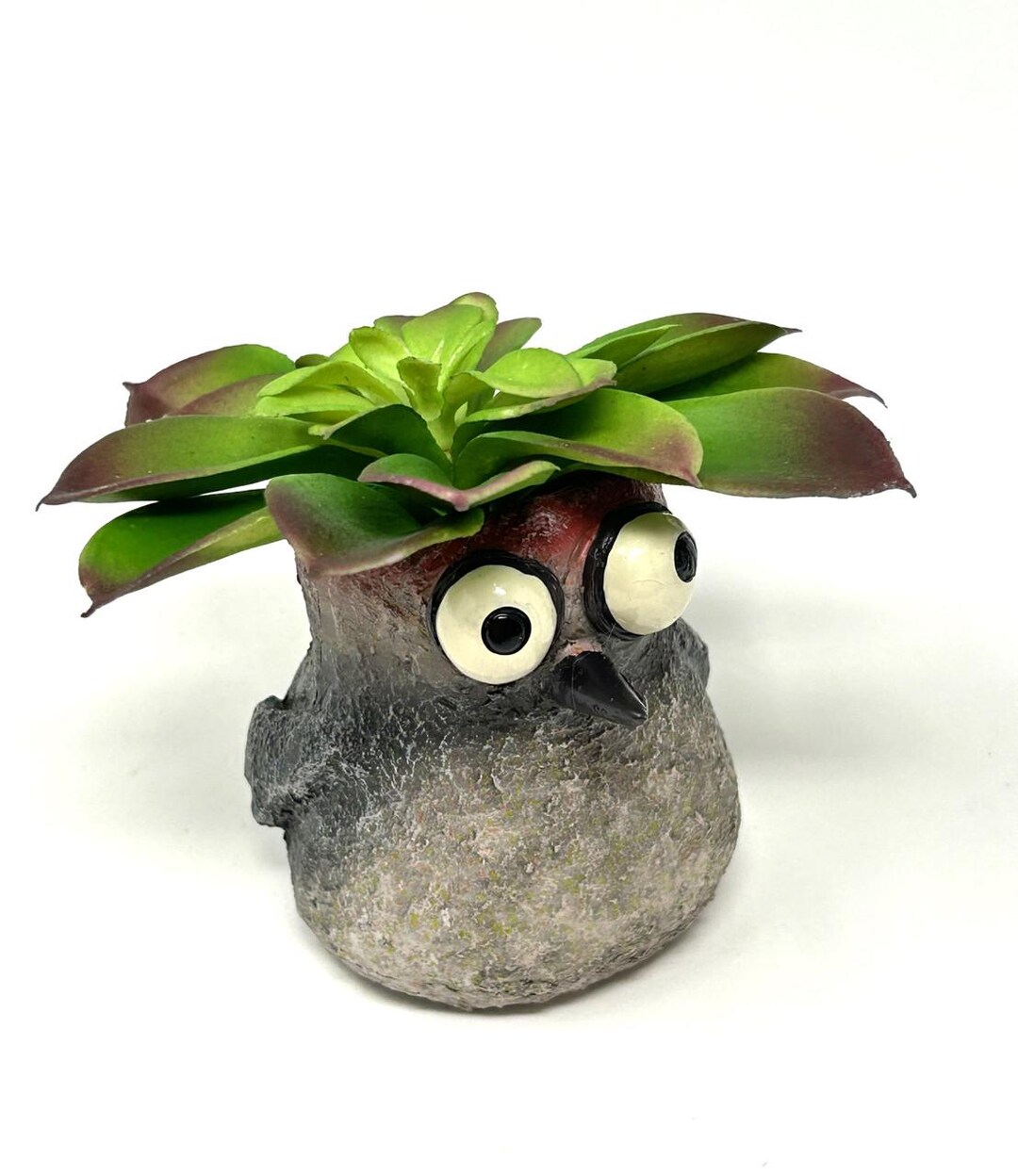 3" Potted Baby WOODPECKER Mini Blob House Pot WITH Faux SUCCULENT - Etsy