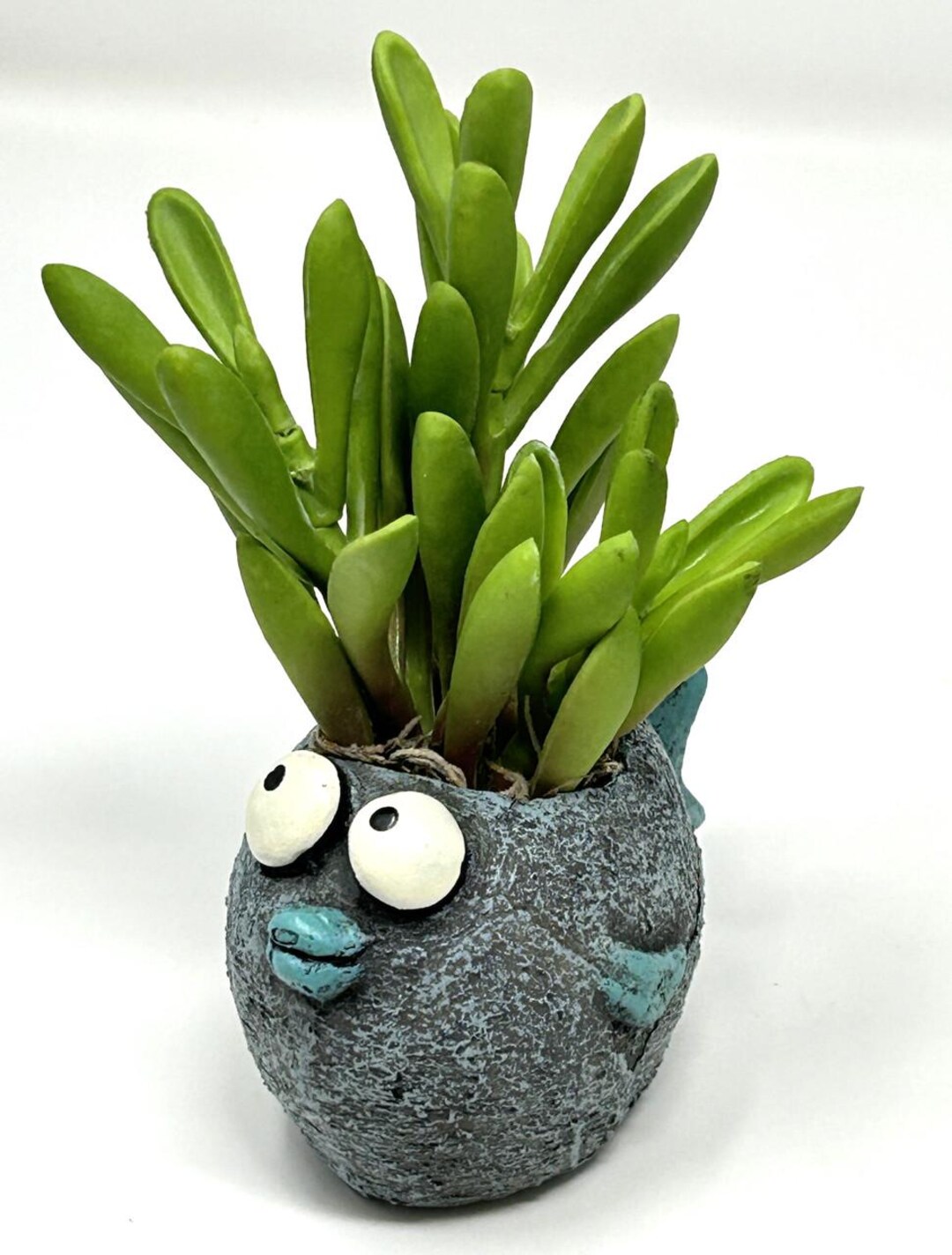 Blue BUBBLES FISH Blob House Mini 2.5" Pot WITH Faux Plant as Shown ...