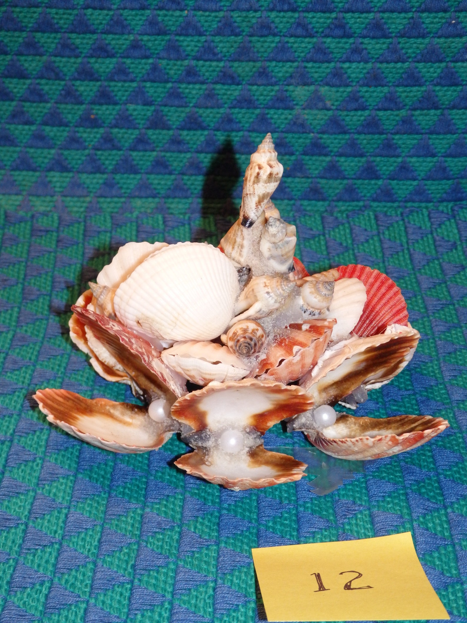 Sea SHELL Art 12 CLUSTER Sculpture With 6 Open Scallop | Etsy