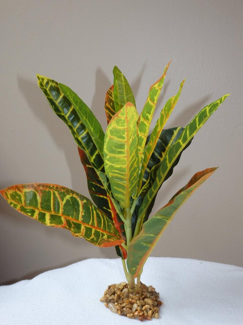 10" Medium CROTON PLANT Plastic-coated Silk Plant, Stone Base - Etsy