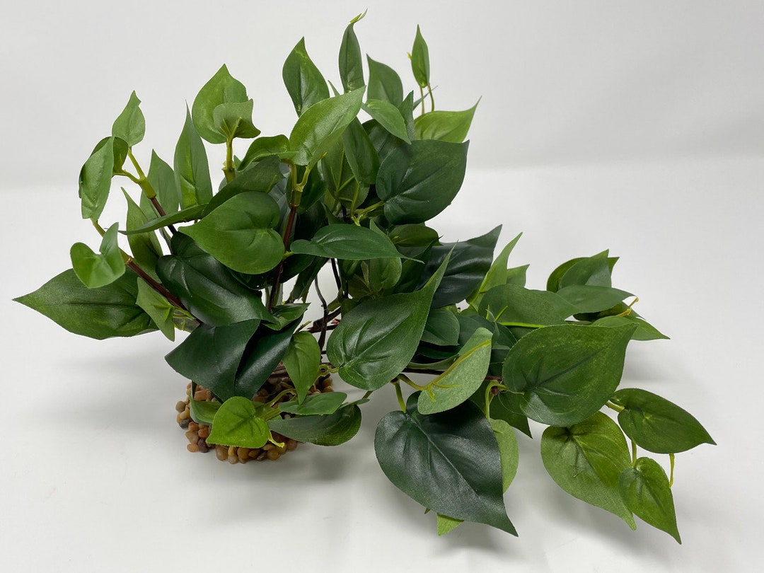 10" W X 6"h LARGE All Green POTHOS Bush and Vines, Soft Silk Pothos ...