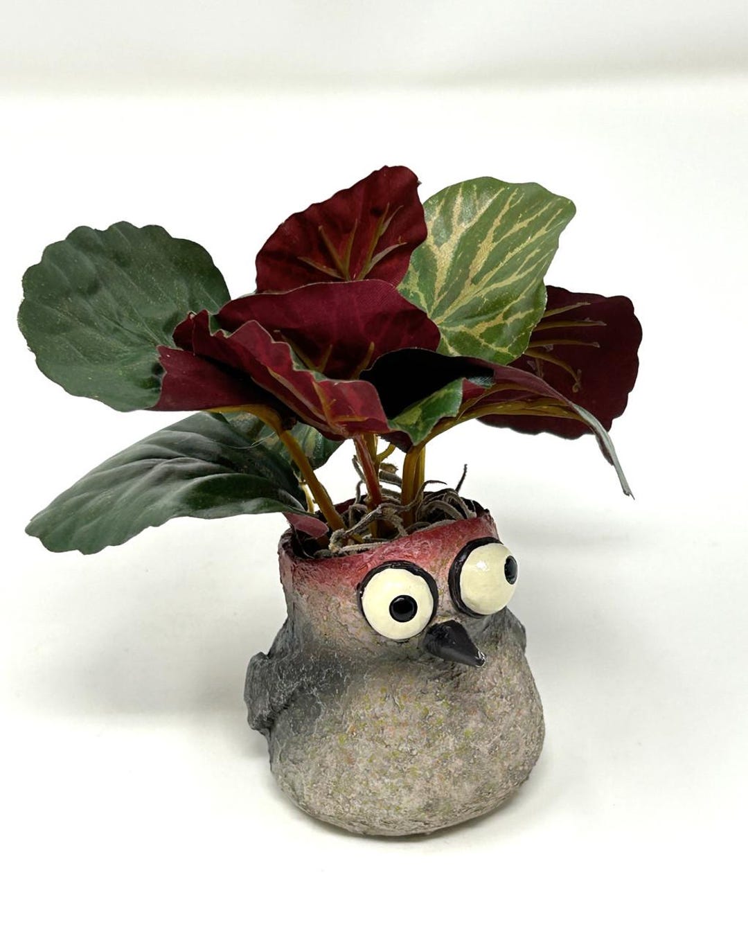 Baby WOODPECKER Mini Blob House 2" Pot WITH Faux CHARLIE Plant - Etsy