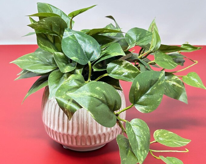 7" Small Artificial VARIEGATED POTHOS Faux Silk Plant Potted in Cream ...