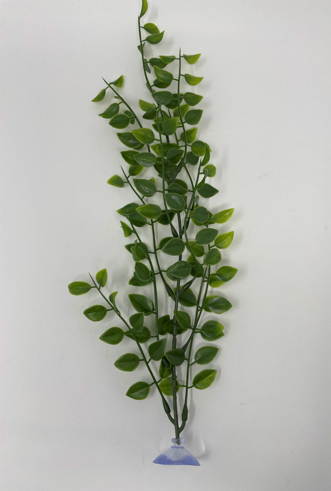 12 Floating Pea Leaf Betta Hammock Soft Plastic Aquarium Plant W ...
