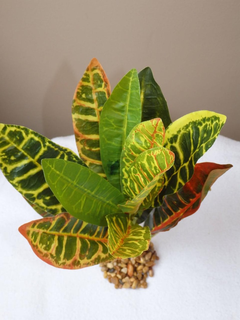10" Medium CROTON PLANT Plastic-coated Silk Plant, Stone Base - Etsy