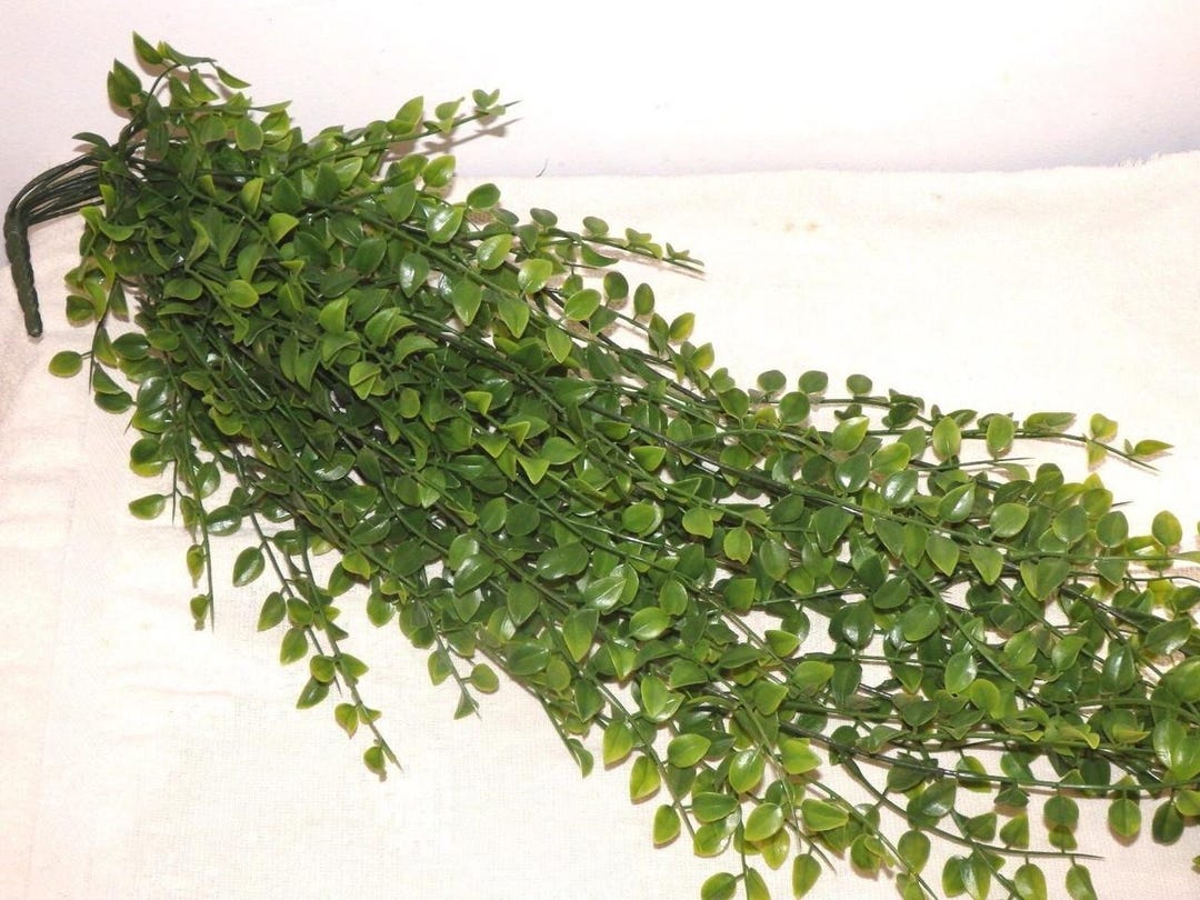30” PEA LEAF HANGING / Floating Plant Aquarium, Terrarium Cover - Etsy