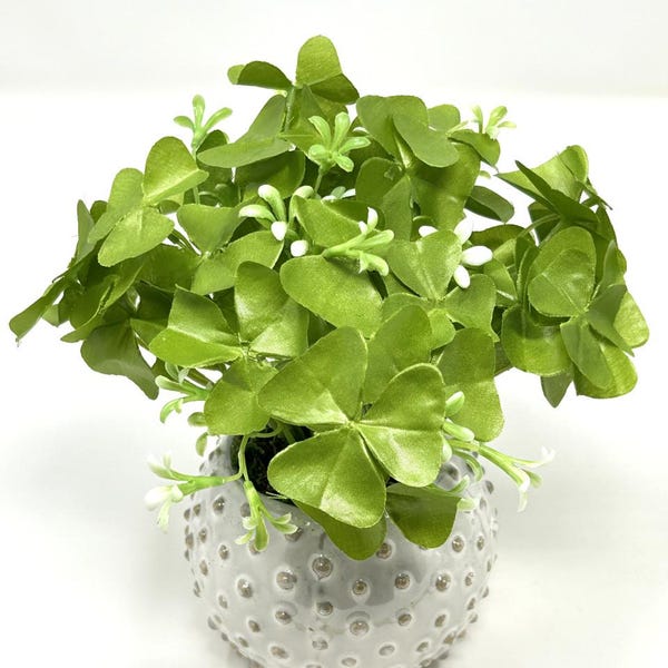 Clover Planter - Etsy