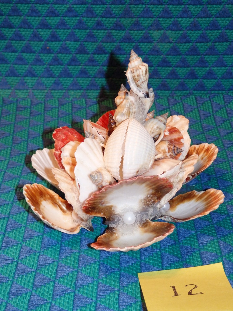 Sea SHELL Art 12 CLUSTER Sculpture With 6 Open Scallop - Etsy