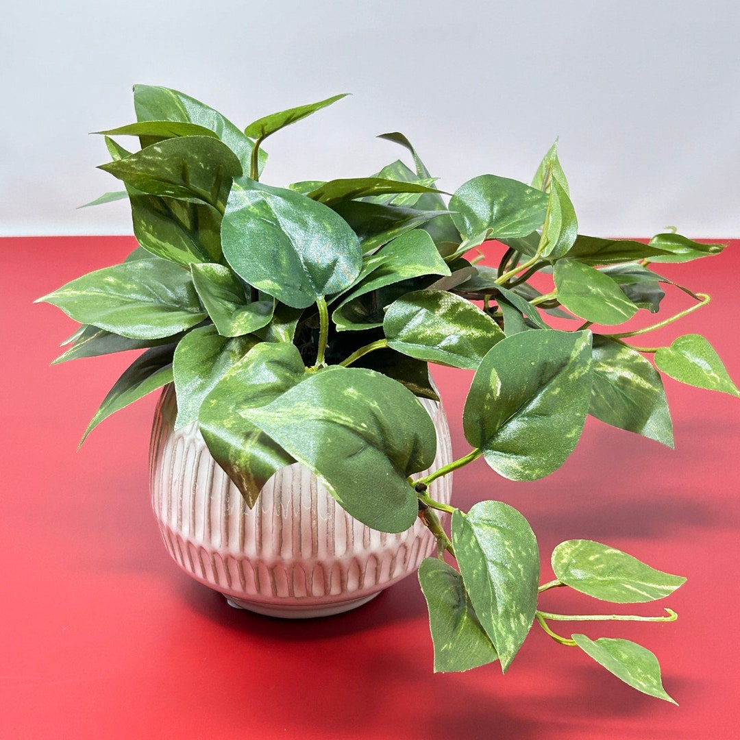 7" Small Artificial VARIEGATED POTHOS Faux Silk Plant Potted in Cream ...