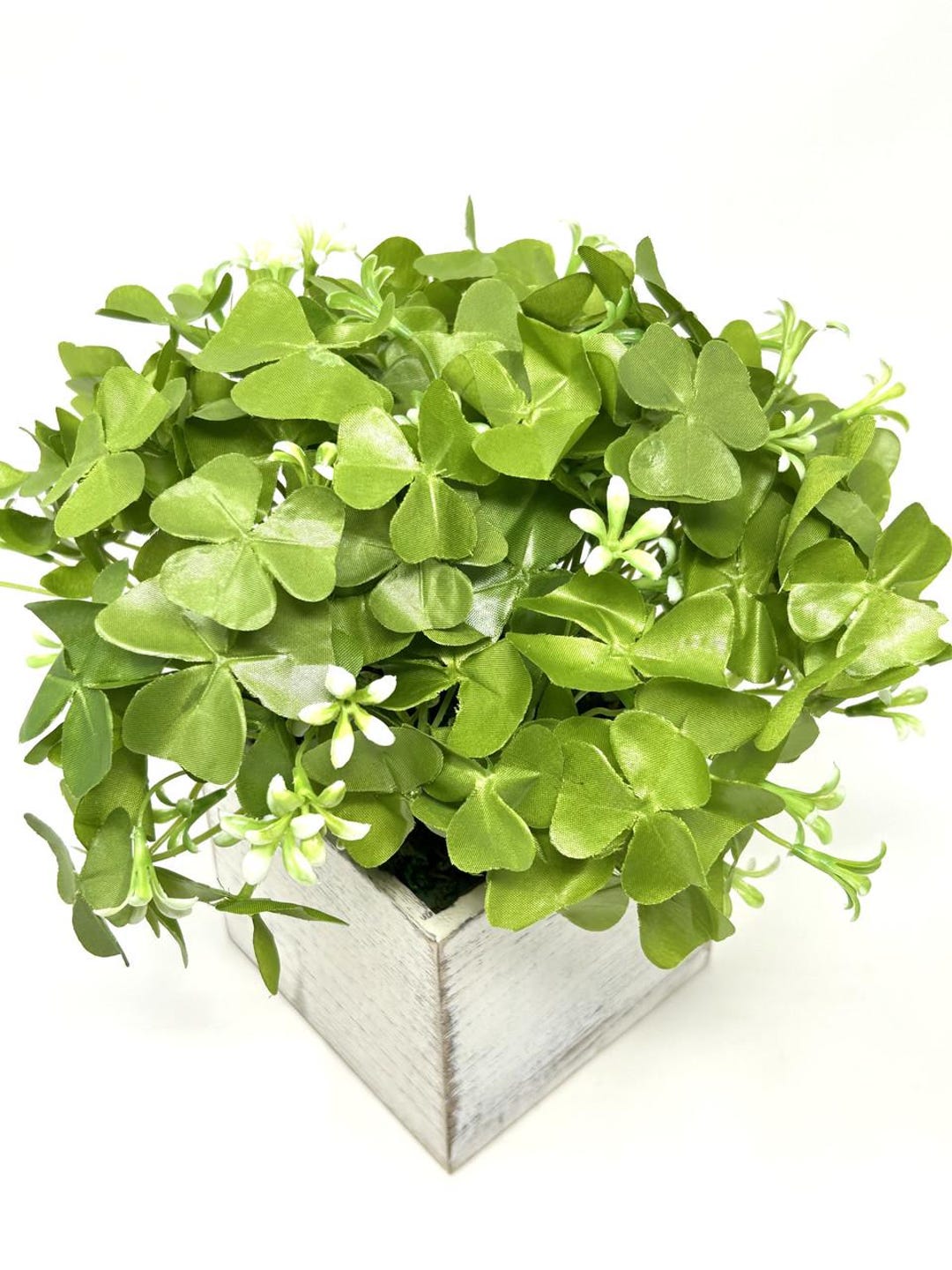 Small 8.5" Tall Silk CLOVER SHAMROCK Artificial Plant Potted in White ...