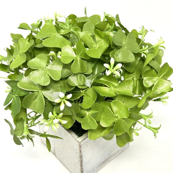 Clover Planter - Etsy