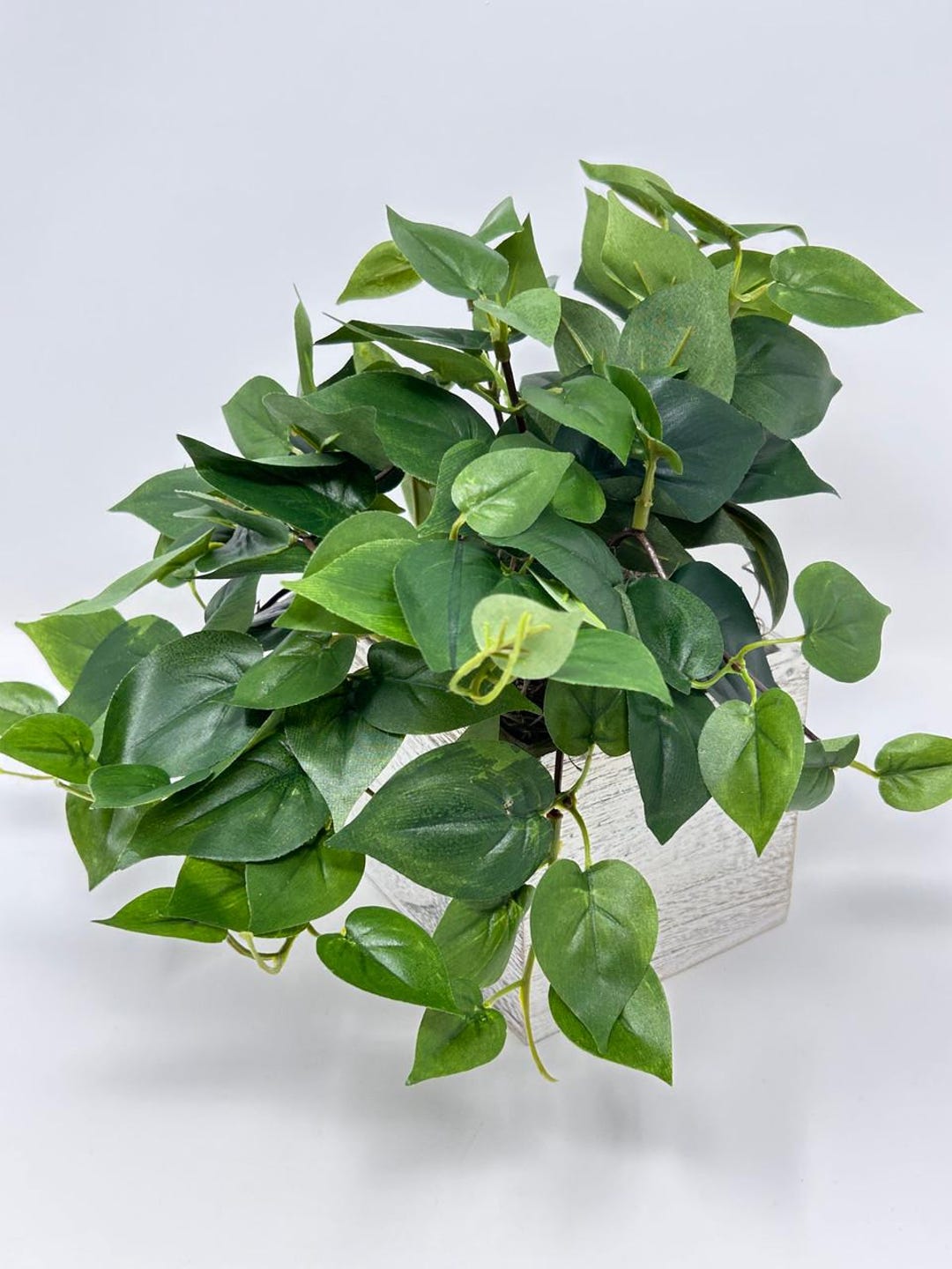 Potted Faux Pothos Plant in White Wood Box - 9" - Etsy