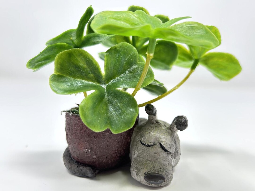 3" Baby Sleeping DOG Blob House Mini Pot WITH Faux SHAMROCK as Shown - Etsy