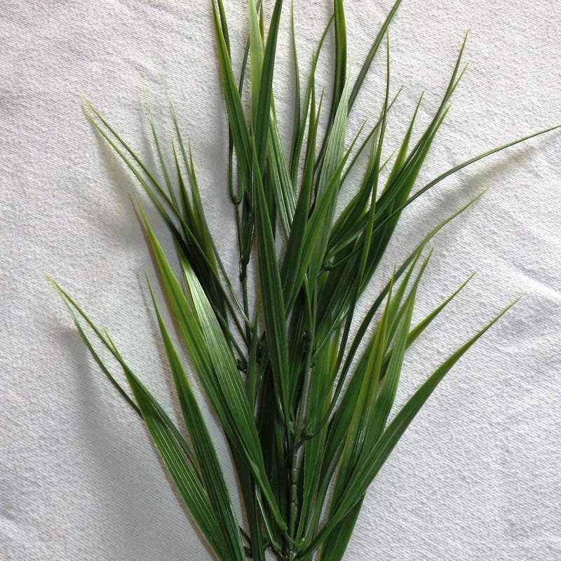 Plant Aquarium Base - Etsy