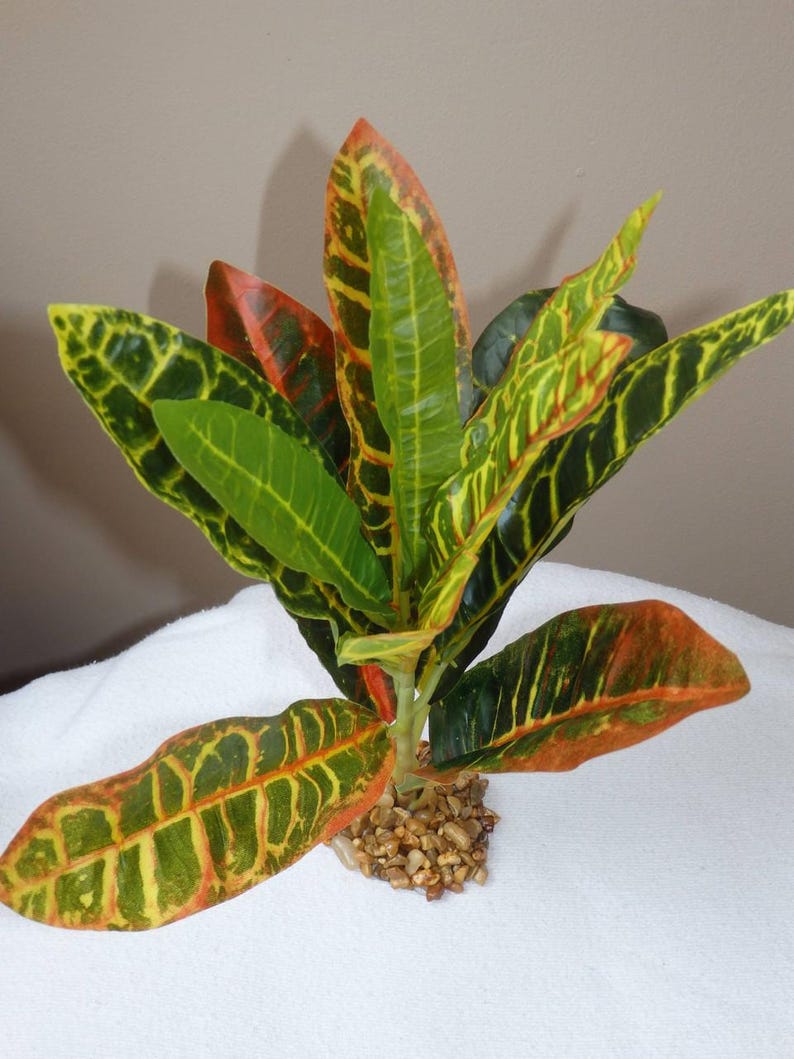 10" Medium CROTON PLANT Plastic-coated Silk Plant, Stone Base - Etsy