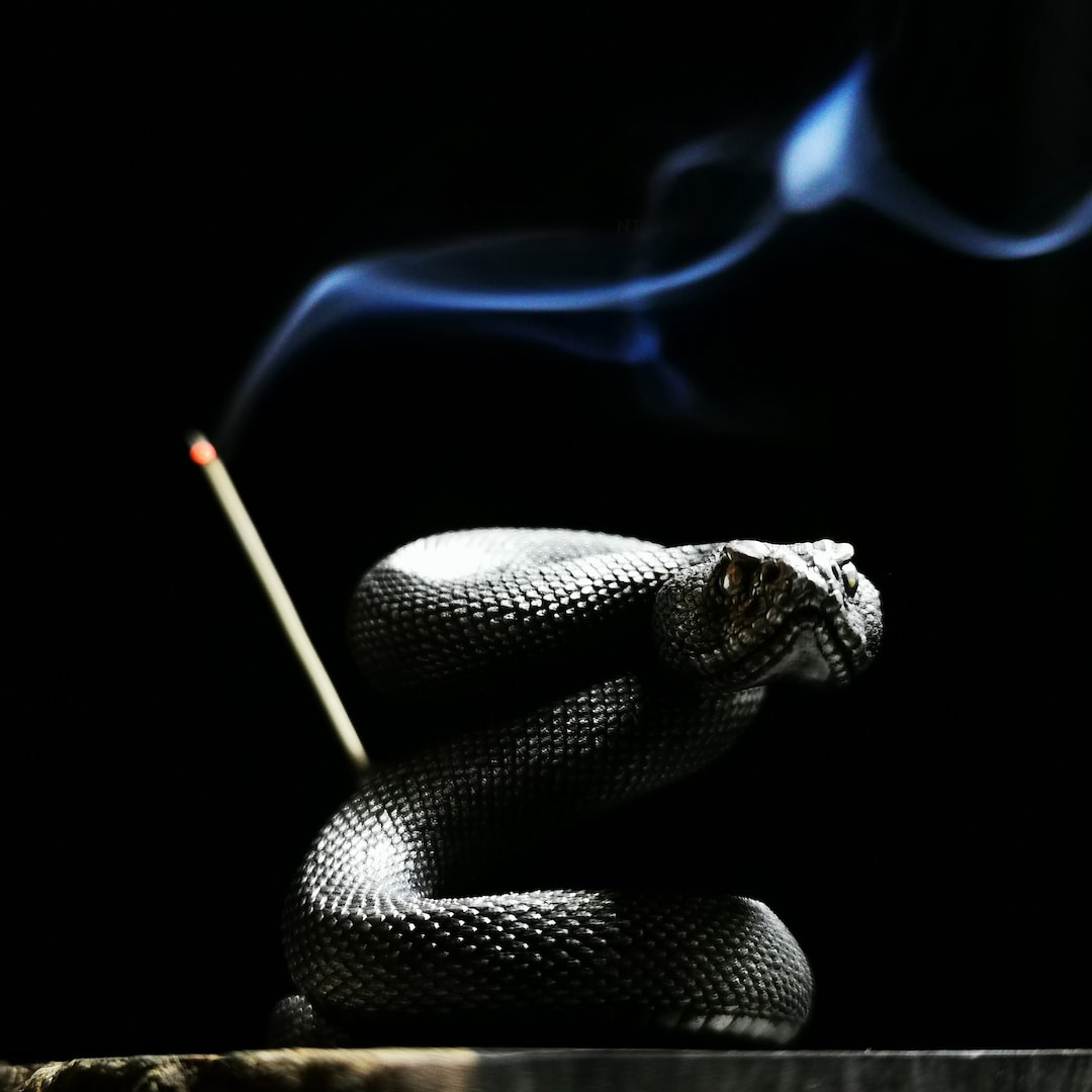 Sterling Silver Rattlesnake Statue Handmade Desk Statue Car Statue ...