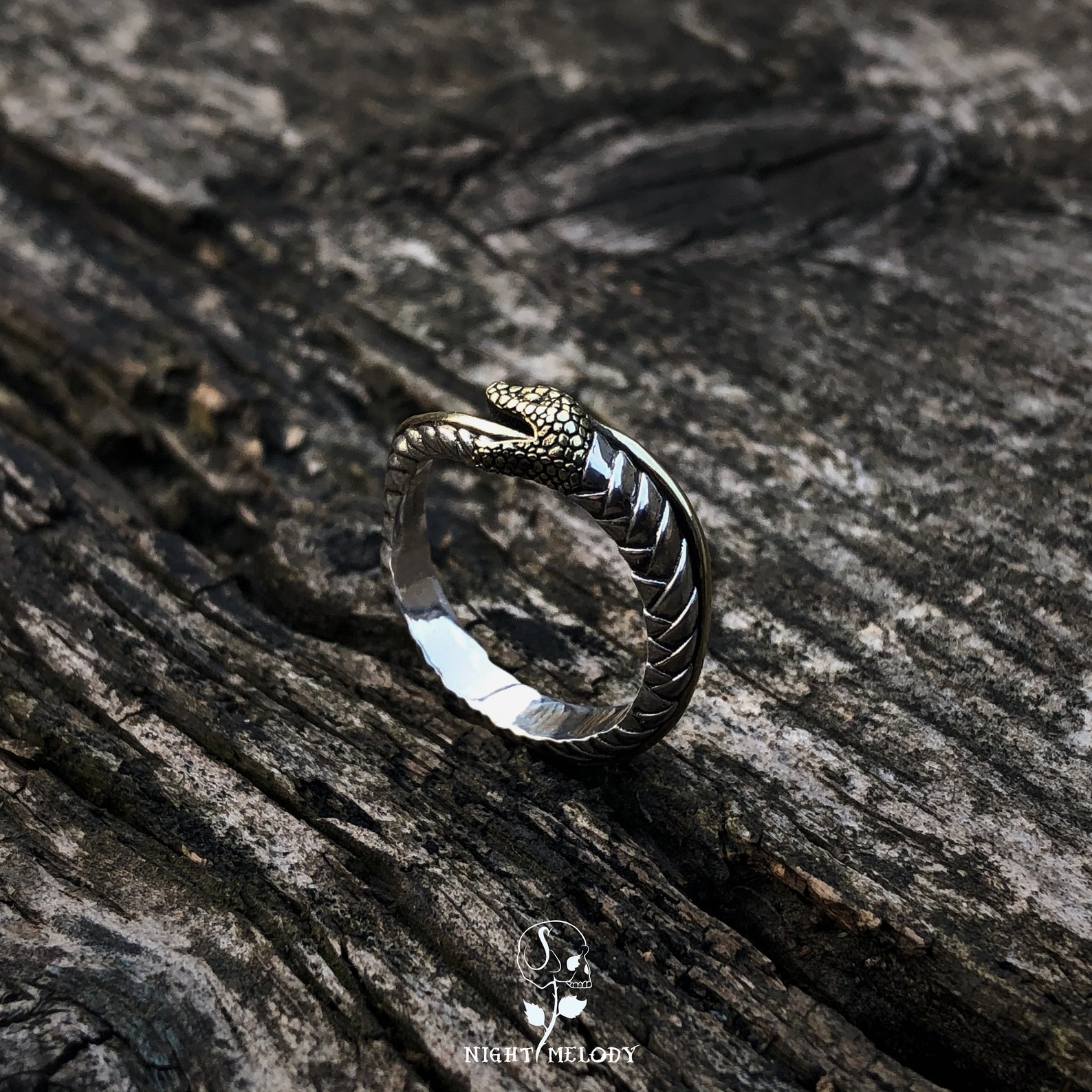 Ouroboros Sterling Silver Ring Silver Jewelry Women's Ring | Etsy