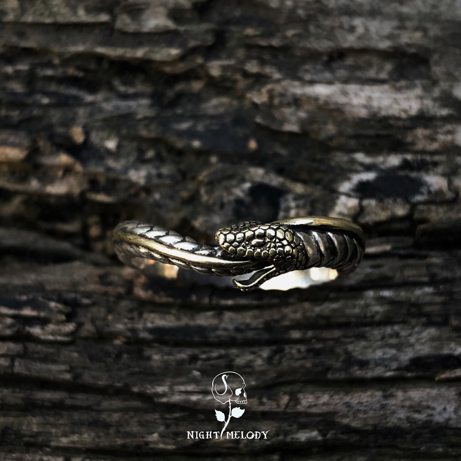 Ouroboros Sterling Silver Ring Silver Jewelry Women's Ring | Etsy