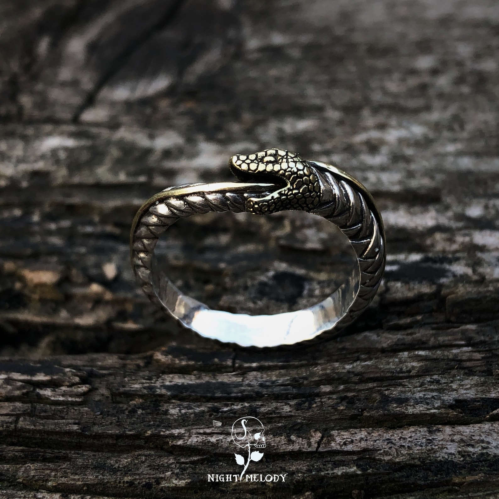 Ouroboros Sterling Silver Ring Silver Jewelry Women's Ring | Etsy