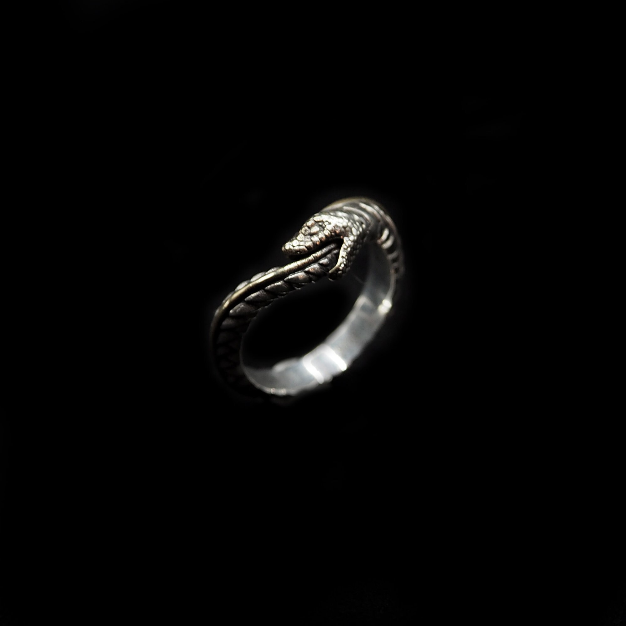 Ouroboros Sterling Silver Ring Silver Jewelry Women's Ring - Etsy