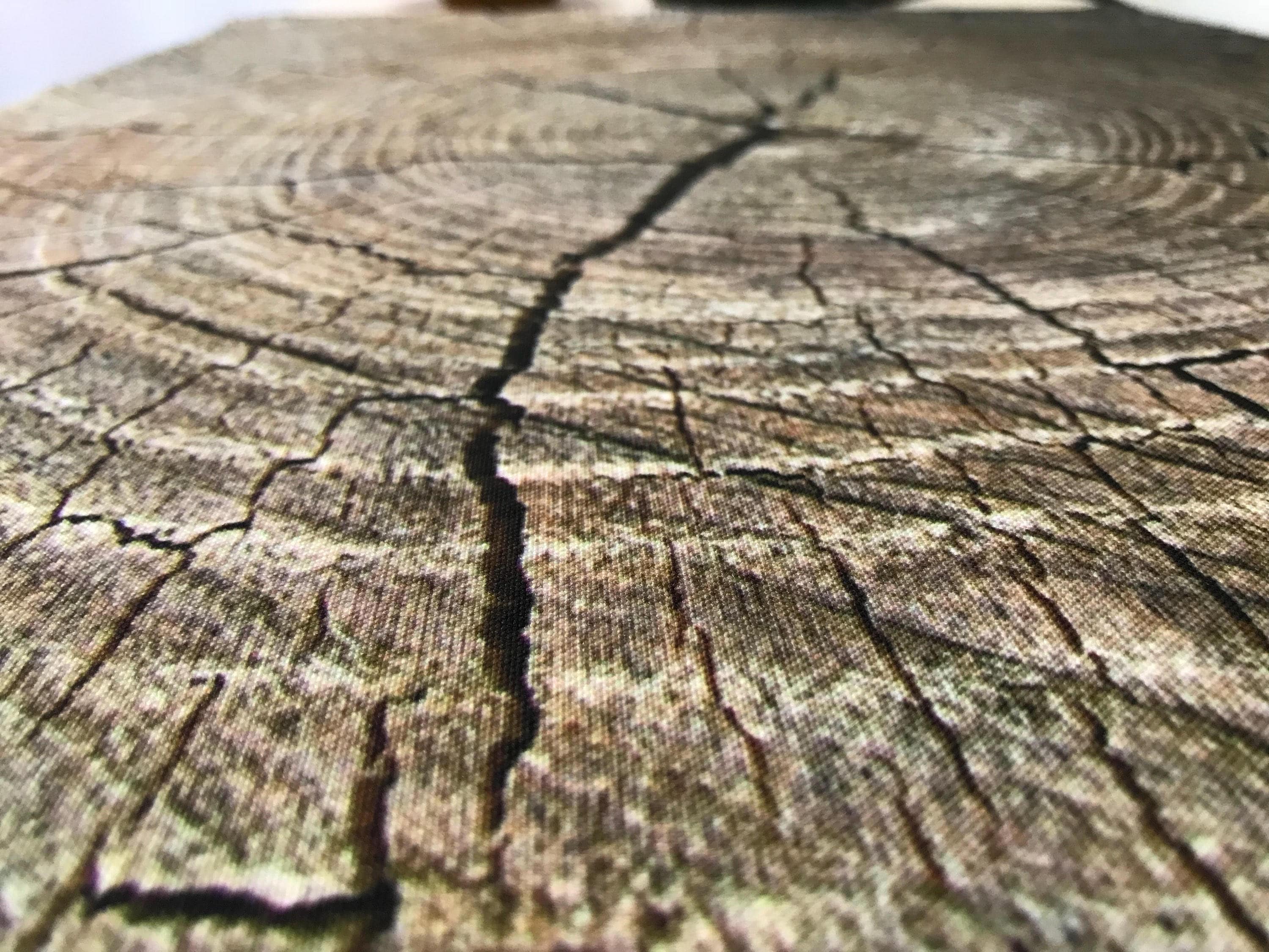 Fabric Wood Tablecloth Custom Printed 3d Wood Pattern Party | Etsy