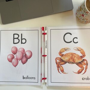 Large Alphabet Display Cards, ABC Poster Set Printable, Bulletin Board ...