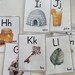 Large Alphabet Display Cards, ABC Poster Set Printable, Bulletin Board ...