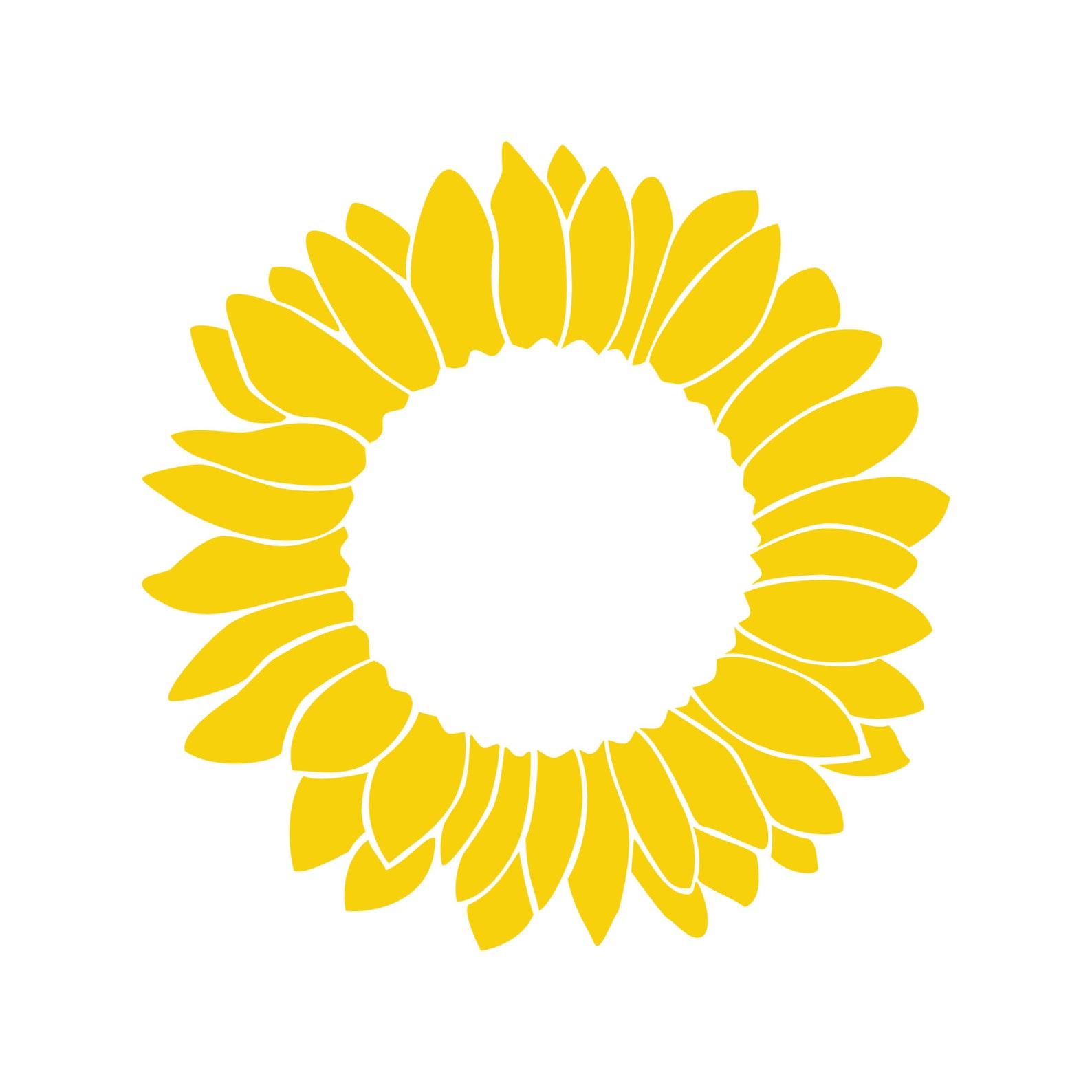 Sunflower Monogram Frame Svg Sunflower Png Sunflower Frame - Etsy