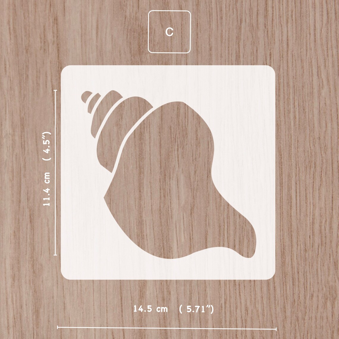 Shell Stencil Marine Decor Craft Stencil Sea Life - Etsy