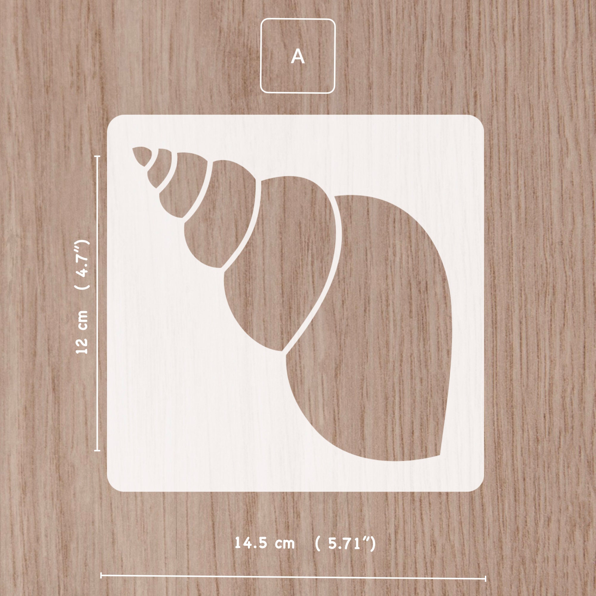 Shell Stencil Marine Decor Craft Stencil Sea Life - Etsy