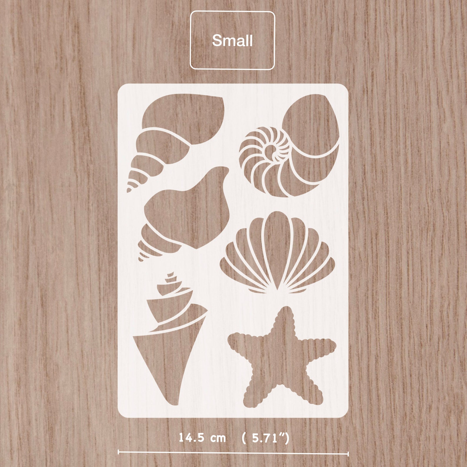 Shell, Stencil, Marine Decor, Craft Stencil, Sea Life, - Etsy