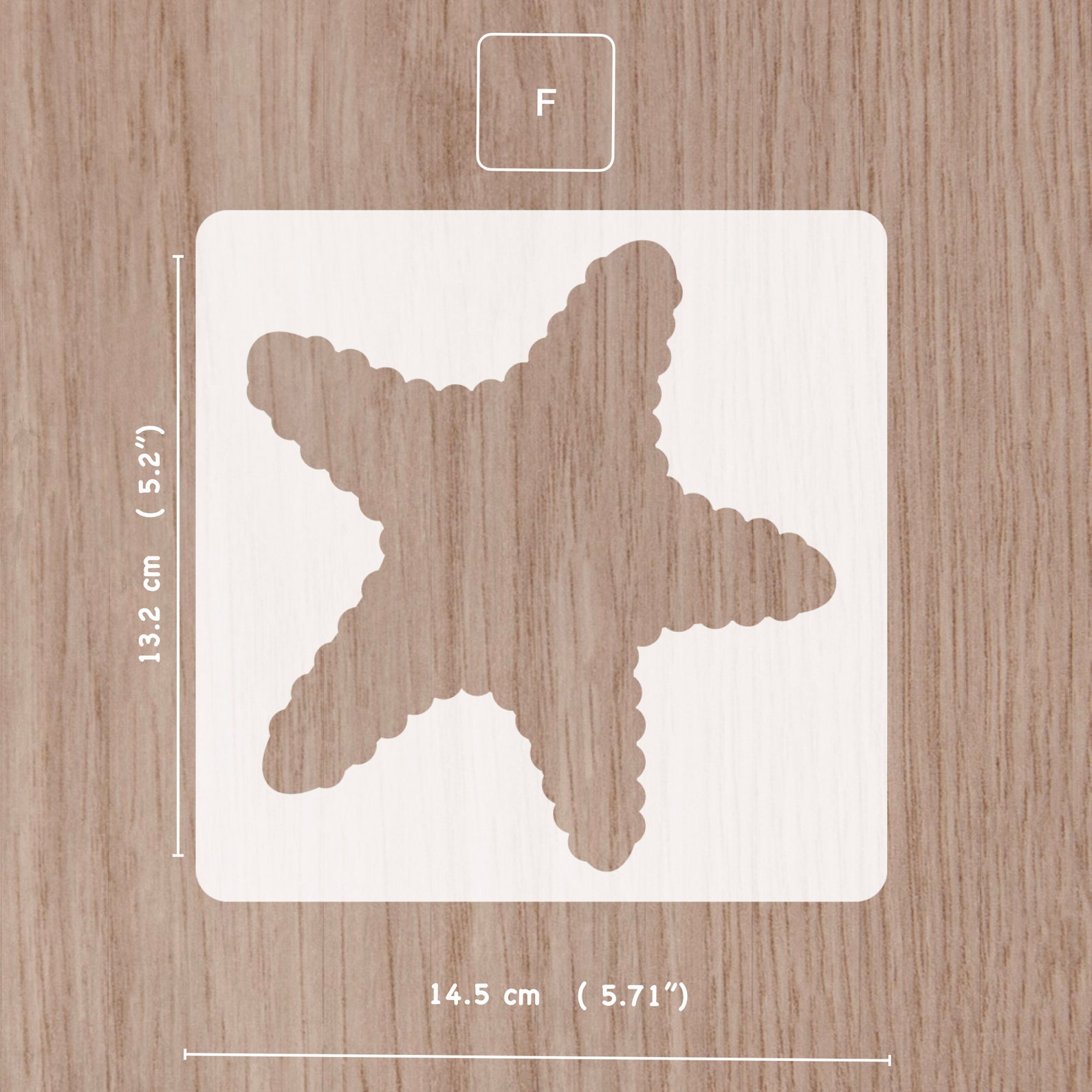 Shell, Stencil, Marine Decor, Craft Stencil, Sea Life, - Etsy