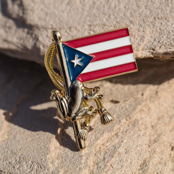 Puerto Rico Pin - Etsy
