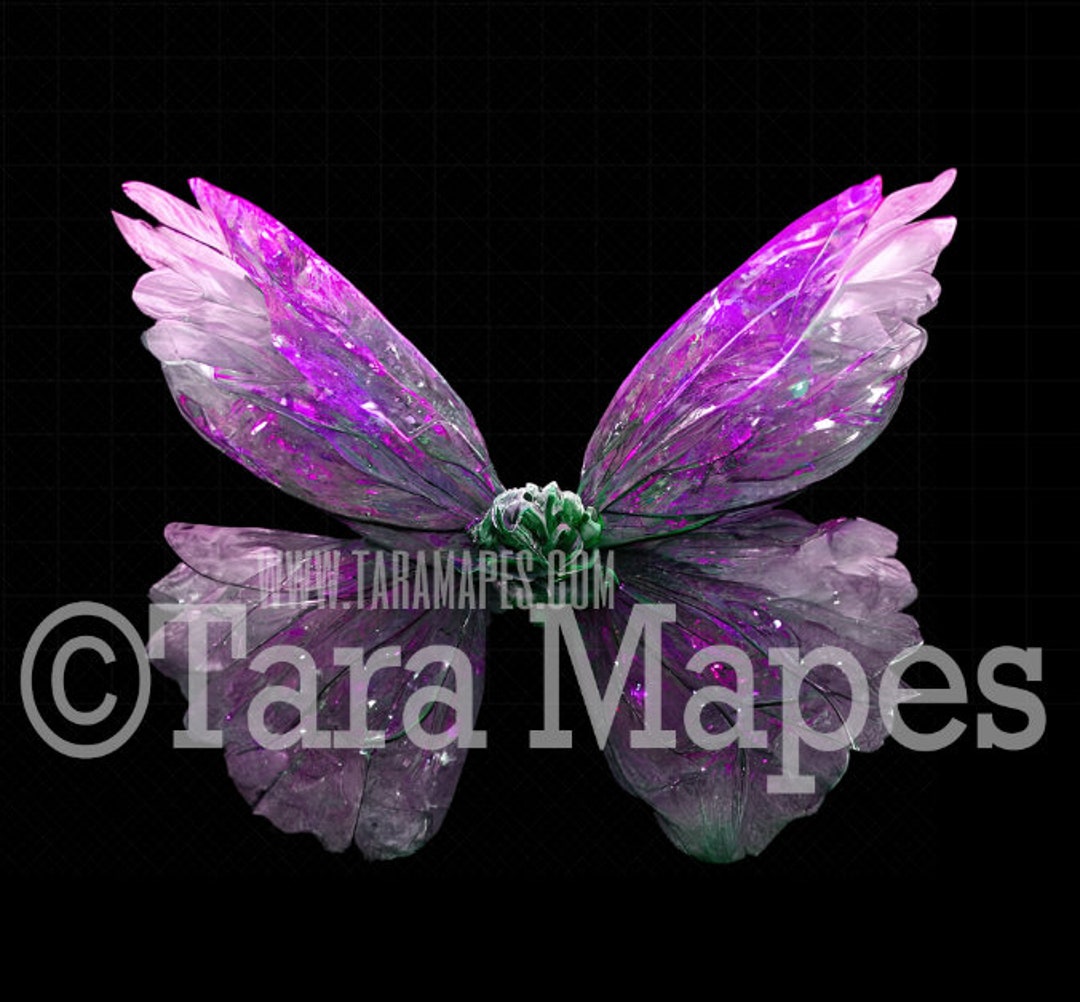 Fairy Wing Overlay Iridescent Fairy Wing Overlay Rainbow - Etsy