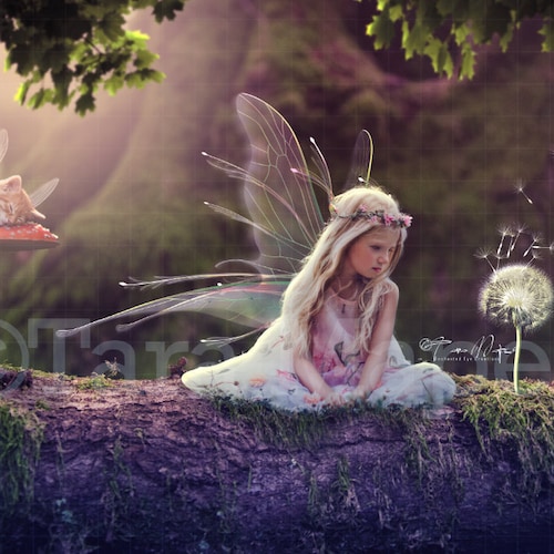 Woodland Fairy Digital Backdrop - Etsy