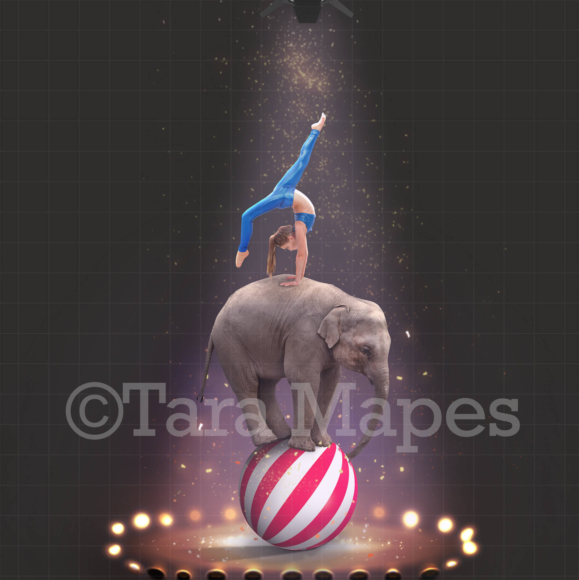 Circus Elephant On A Ball