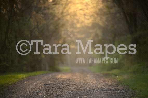 Digital Backdrop Glowing Path Spring Path With Glowing Sun - Etsy