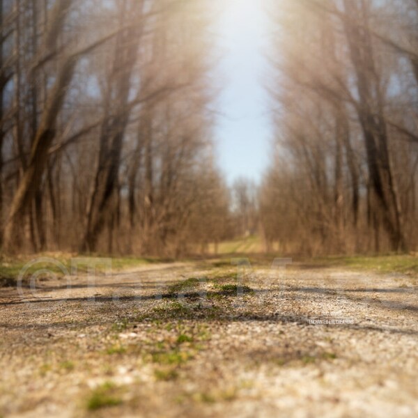 Dirt Path - Etsy