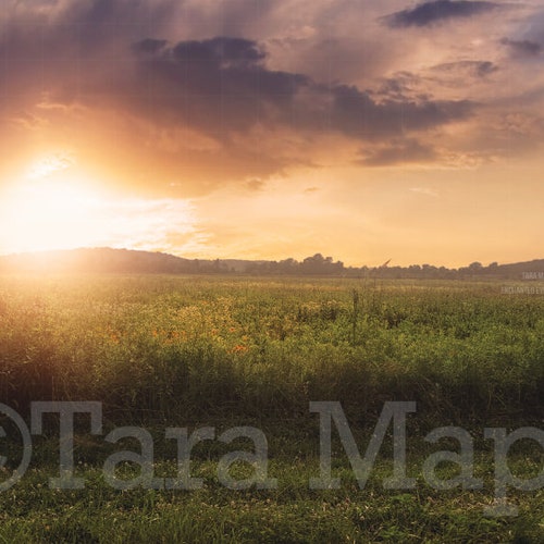 Digital Background Wheat Field Sunset - Etsy