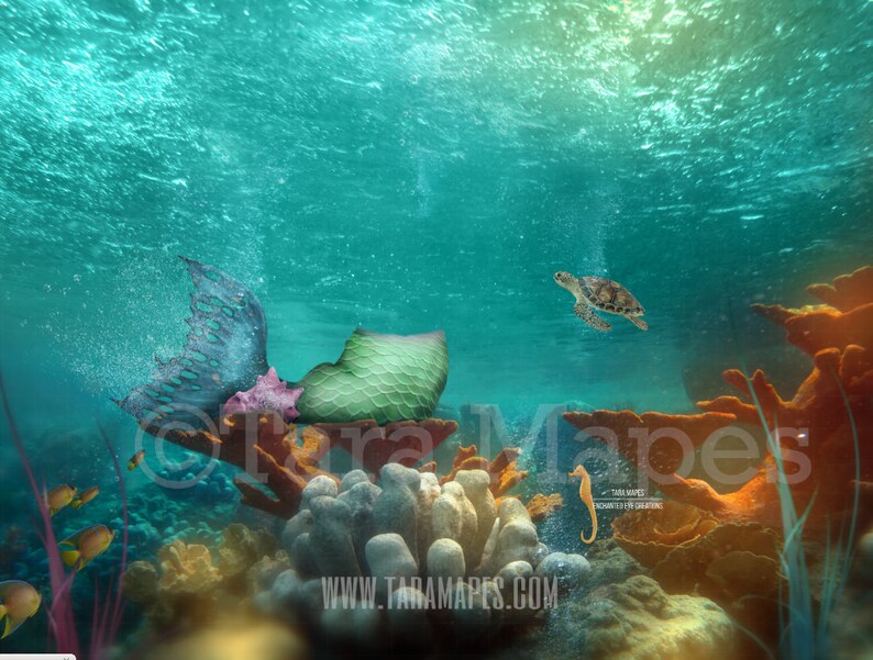 Mermaid Digital Backdrop Mermaid Tail on Coral Layered PSD - Etsy