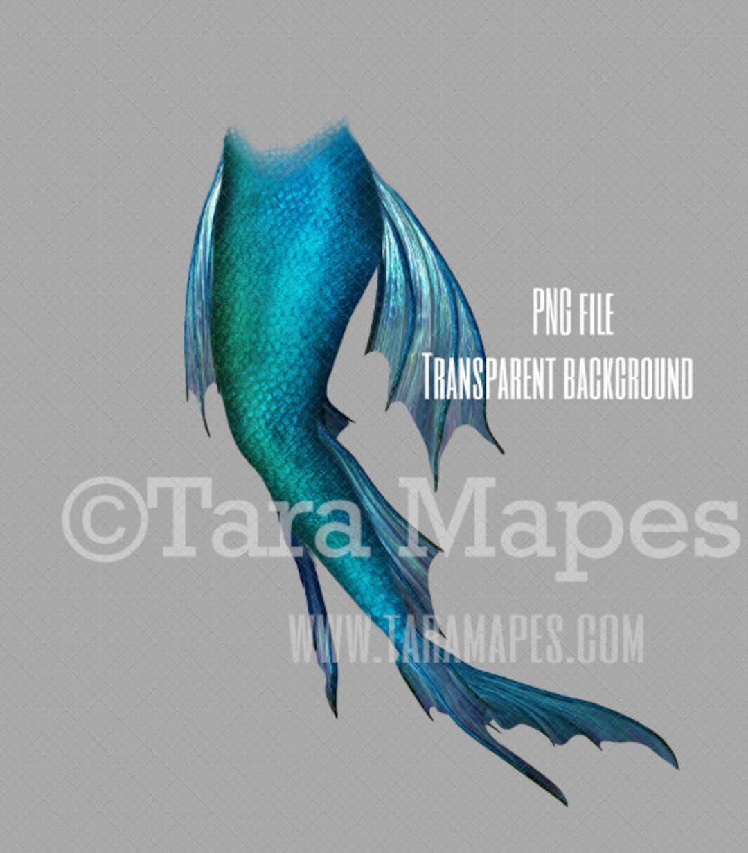 Mermaid Tail Overlay Mermaid Tail Mermaid Fin PNG - Etsy