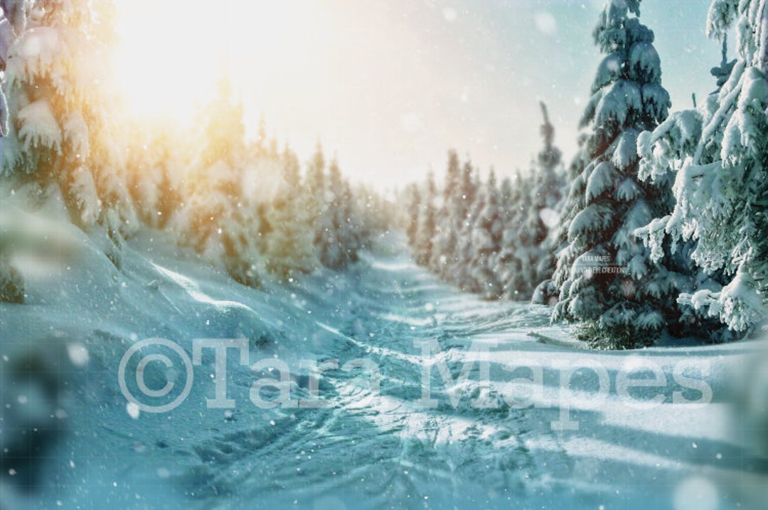 Digital Backdrop Winter Path in Snow With Sun Digital - Etsy